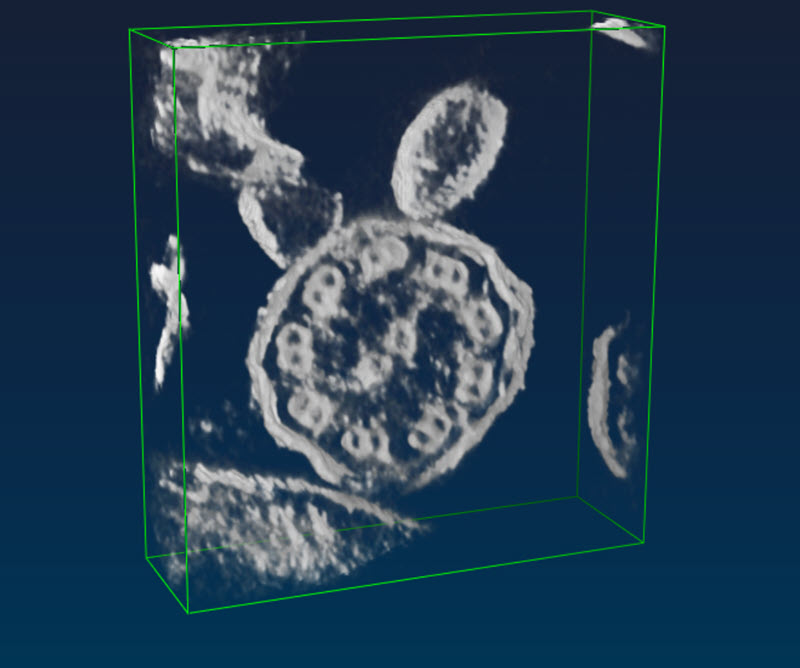(S)TEM Tomography | JEOL Resources